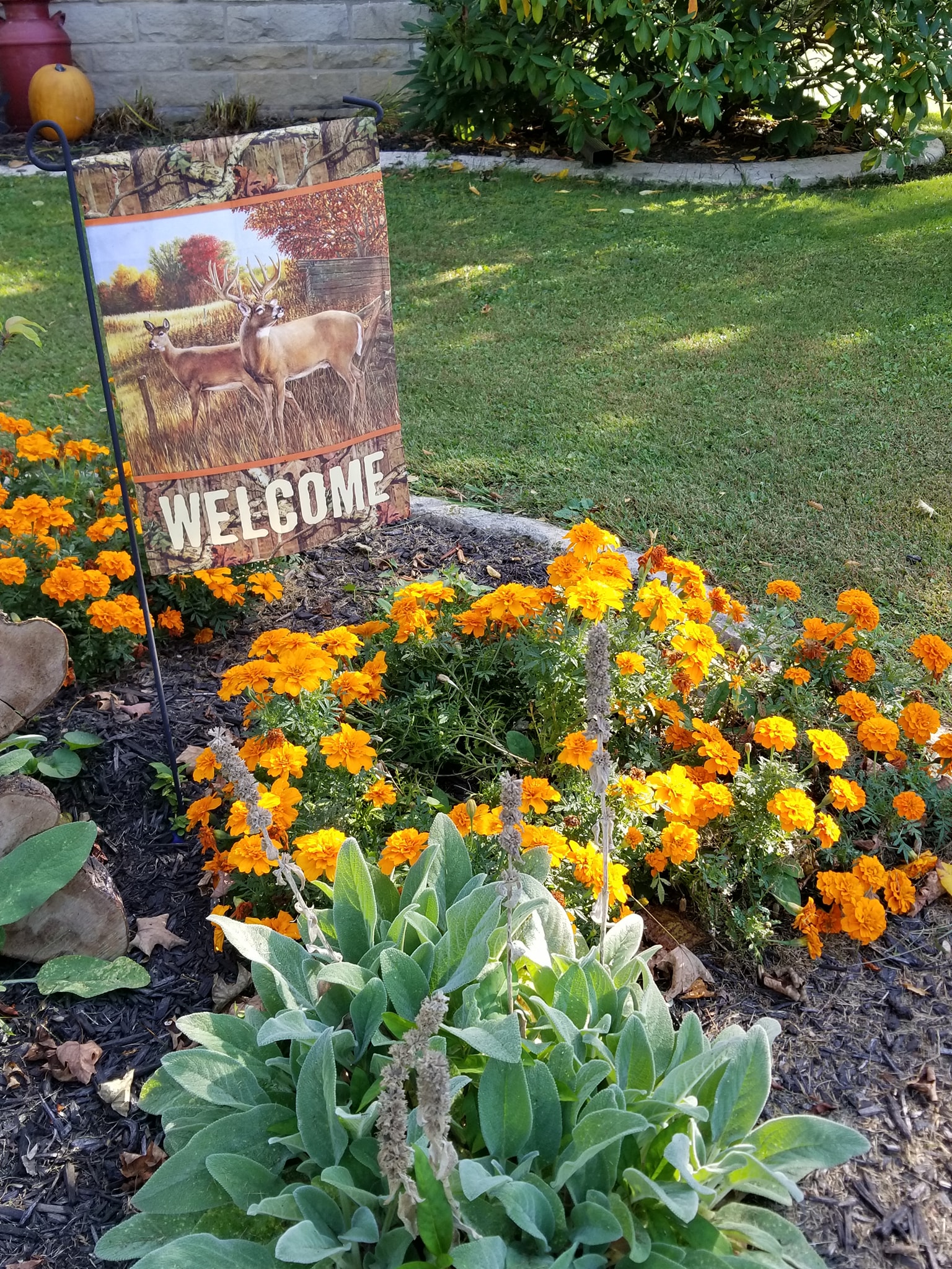 Fall-Home-Tour-2019 — Timeless Treasure Trove