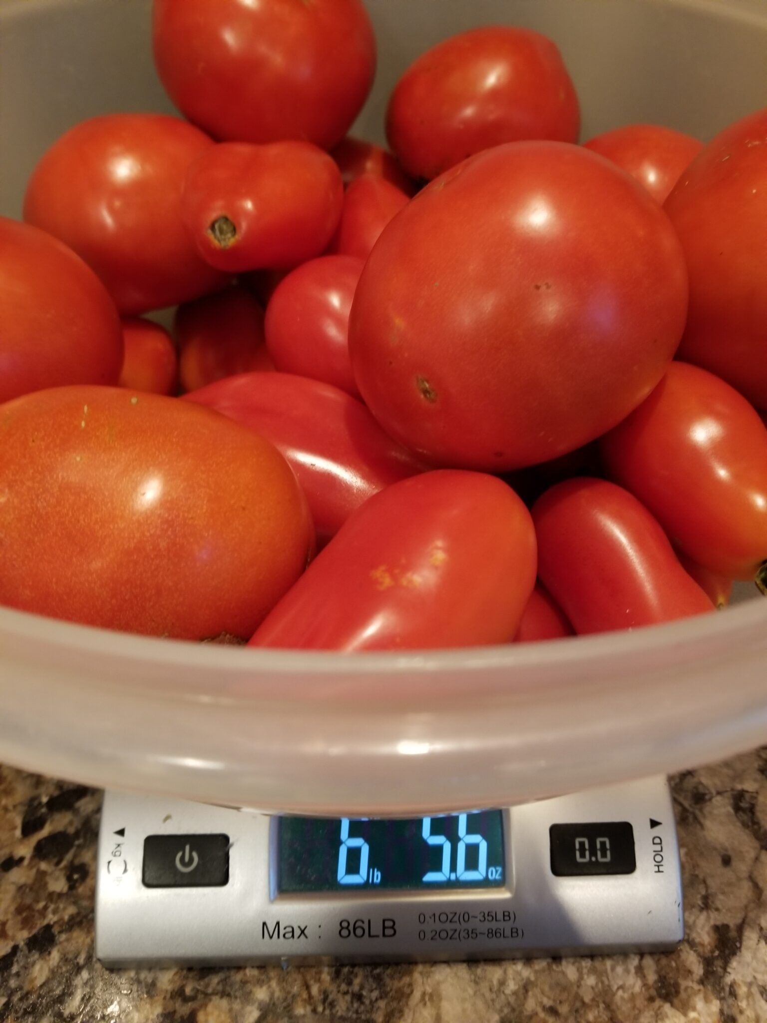 Instant Pot Ketchup Made With Fresh Tomatoes — Timeless Treasure Trove